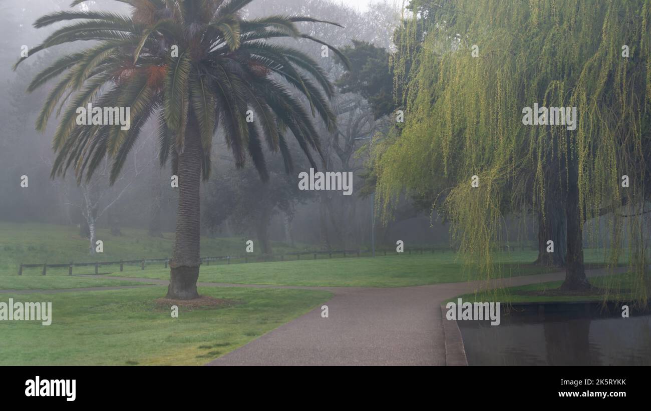 Fog at Hamilton lake (lake Rotoroa), Hamilton, New Zealand Stock Photo ...