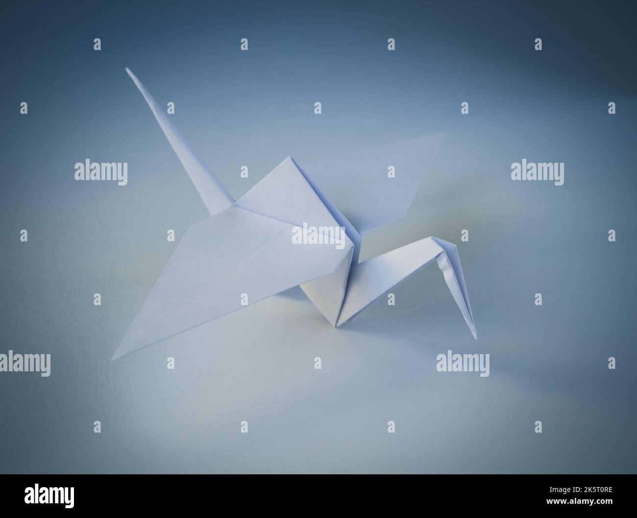 White paper crane origami isolated on a blank background Stock Photo ...