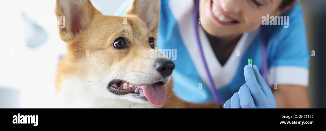 Pharmacy animal hi-res stock photography and images - Alamy