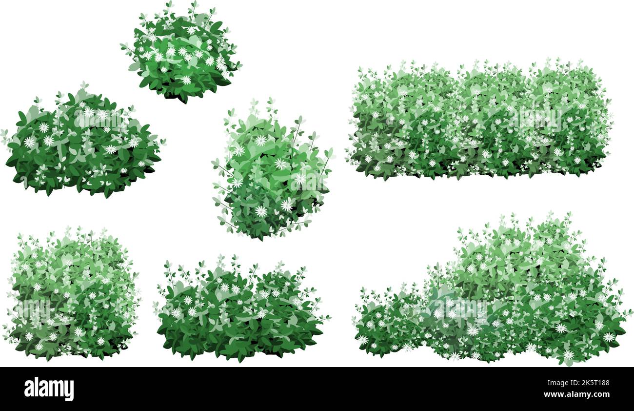 Realistic garden shrub, seasonal bush, boxwood, tree crown bush foliage ...