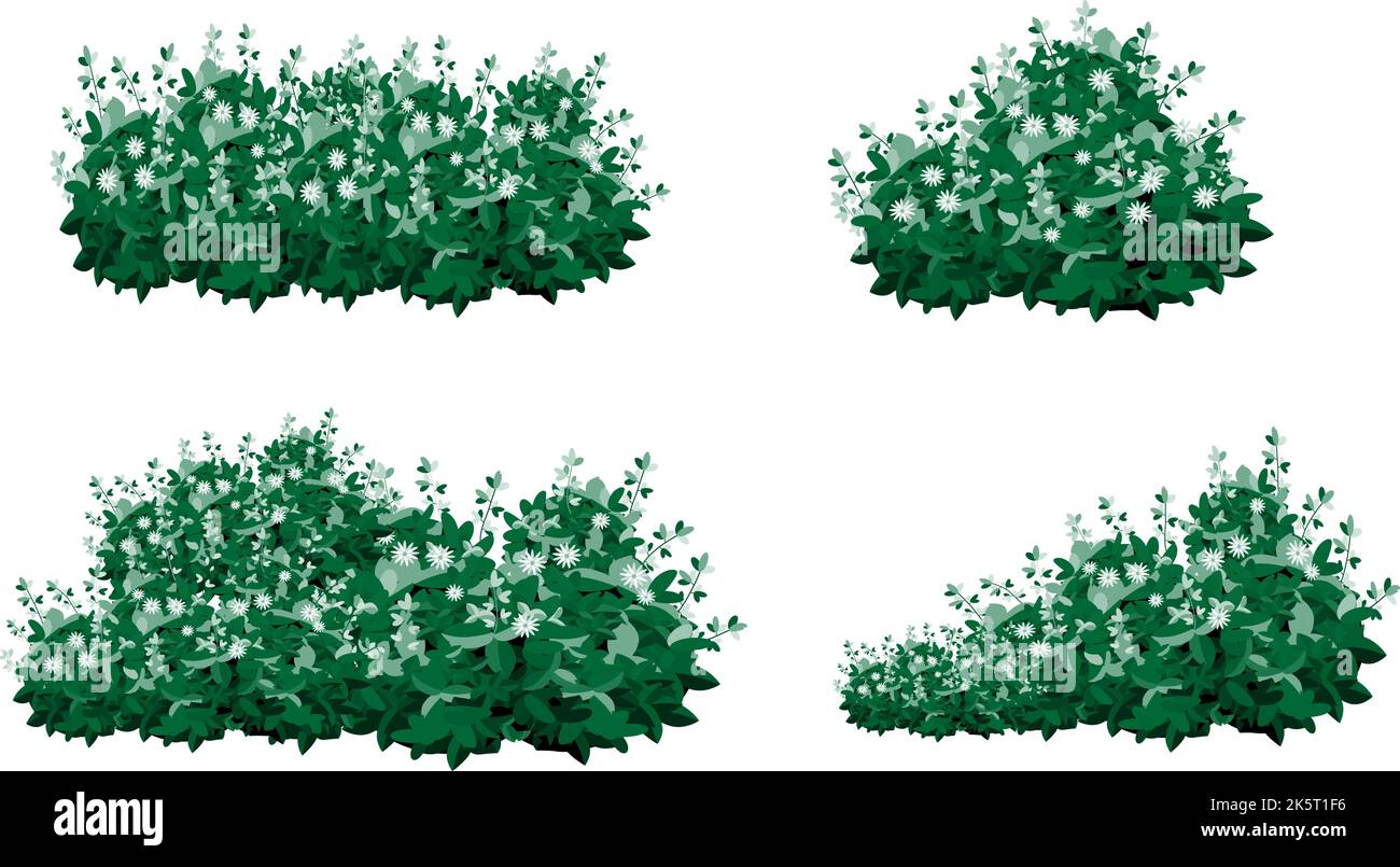 Realistic garden shrub, seasonal bush, boxwood, tree crown bush foliage ...