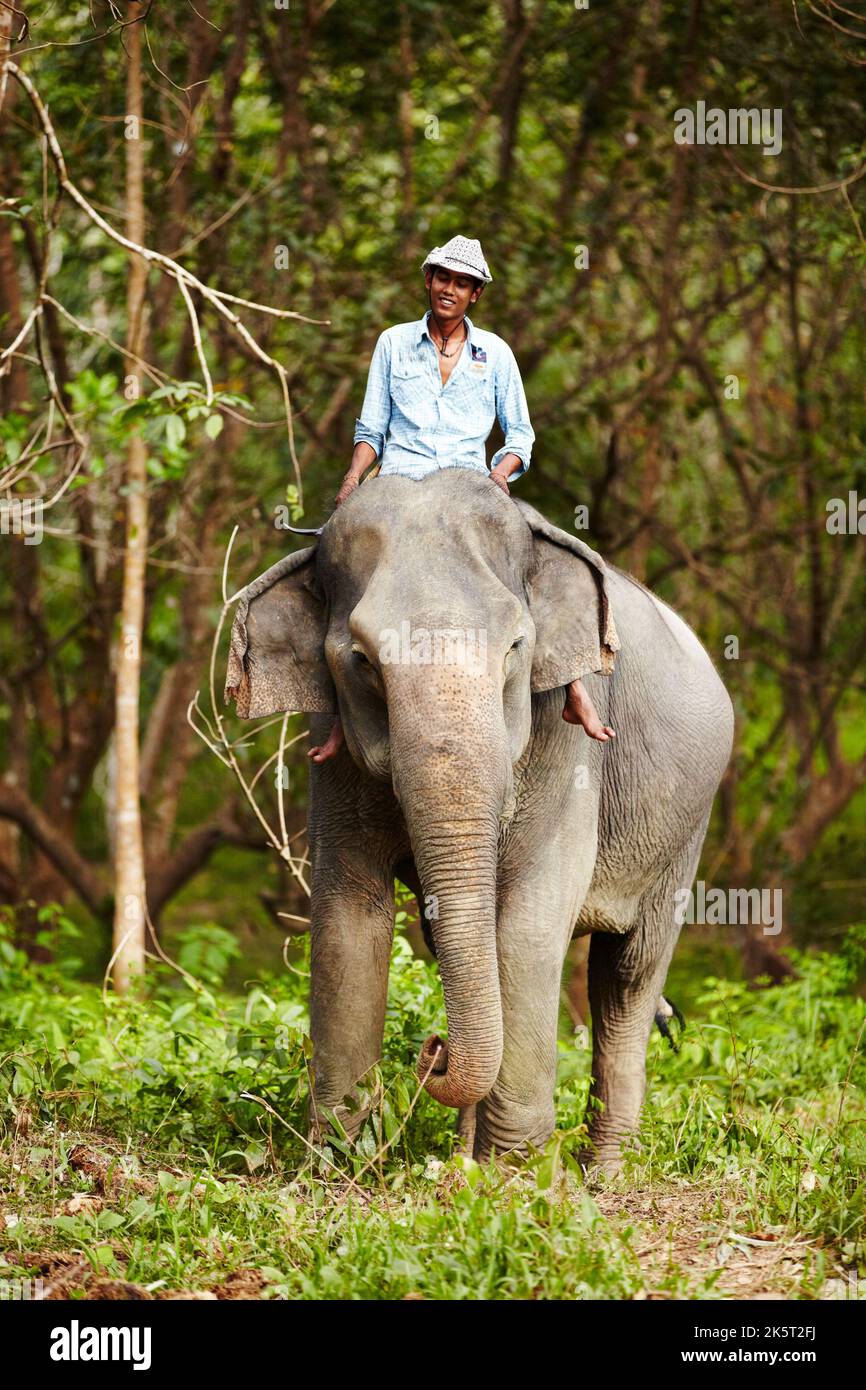 Trainer and elephant out for a walk - Thailand. An elephant keeper ...