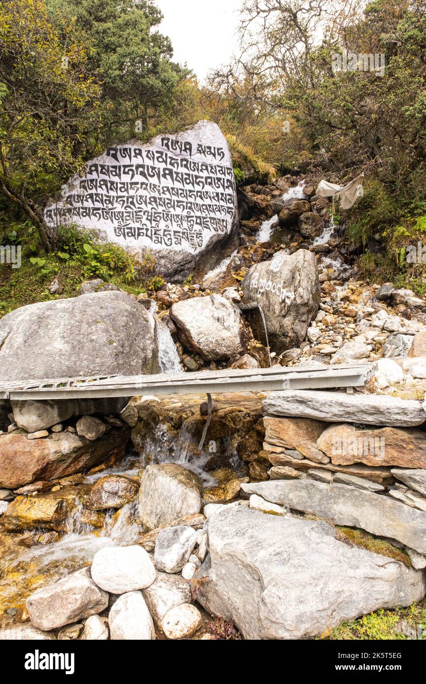 Sacred stone camp hi-res stock photography and images - Alamy
