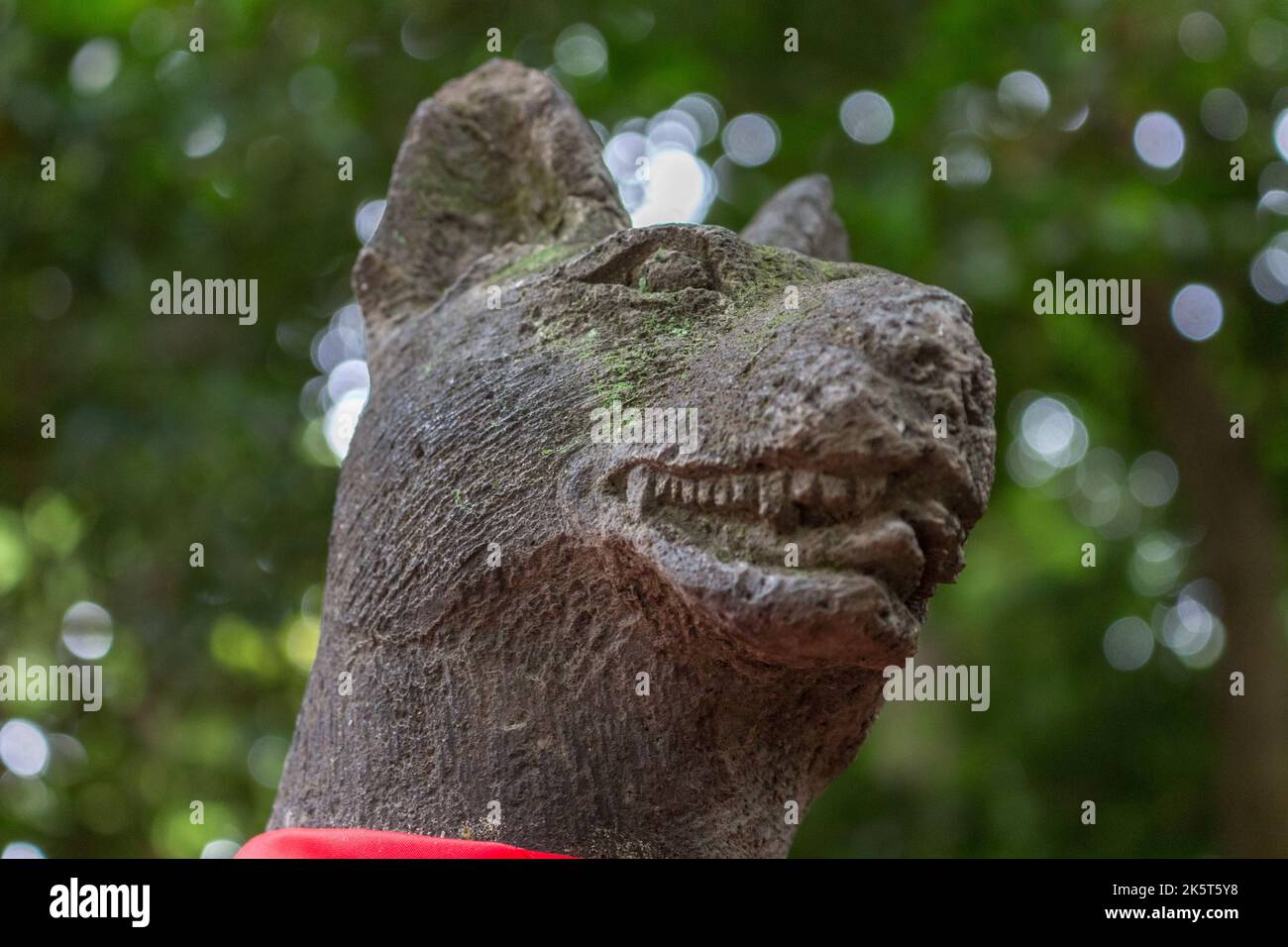 Stone statue of a fox, or kitsune, messenger of the God Inari, at Nezu ...
