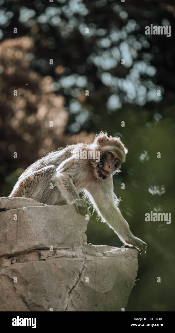 Beautiful high end photography by an amazing artist Stock Photo - Alamy