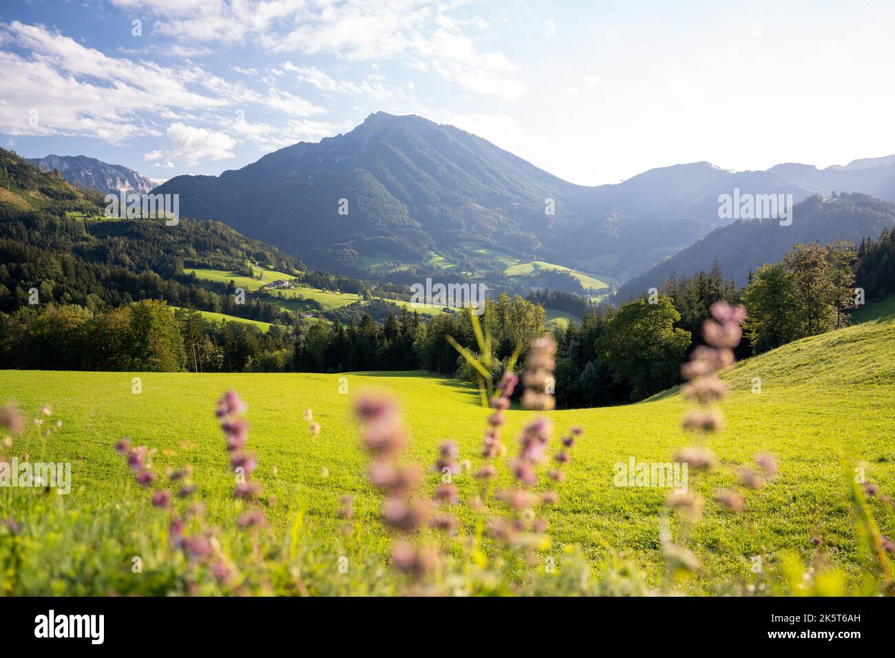 Beautiful high end photography by an amazing artist Stock Photo - Alamy