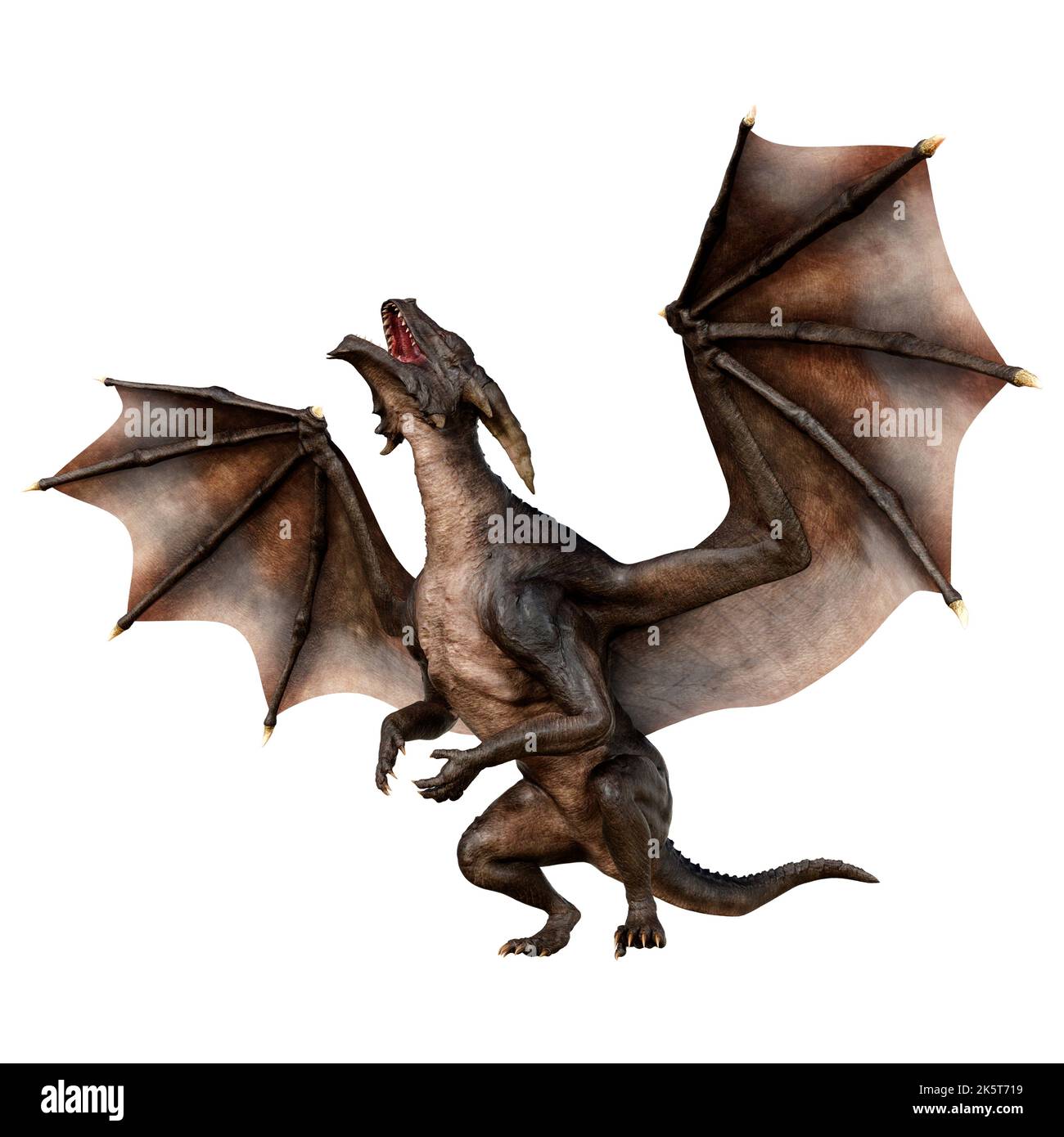 Dragon Front View Roar