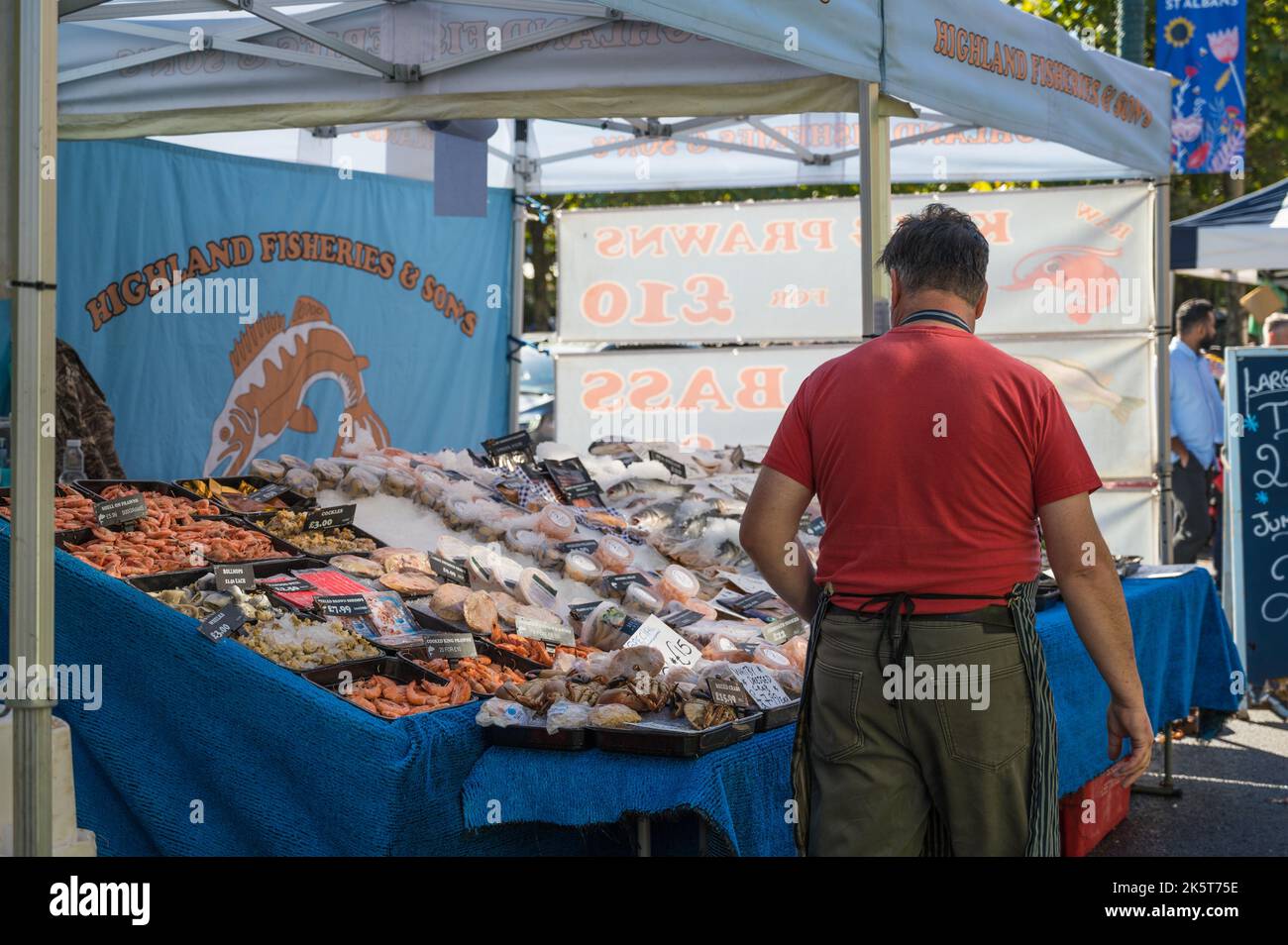 Fresh fish stall displaying a selection of fish and shellfish at the ...