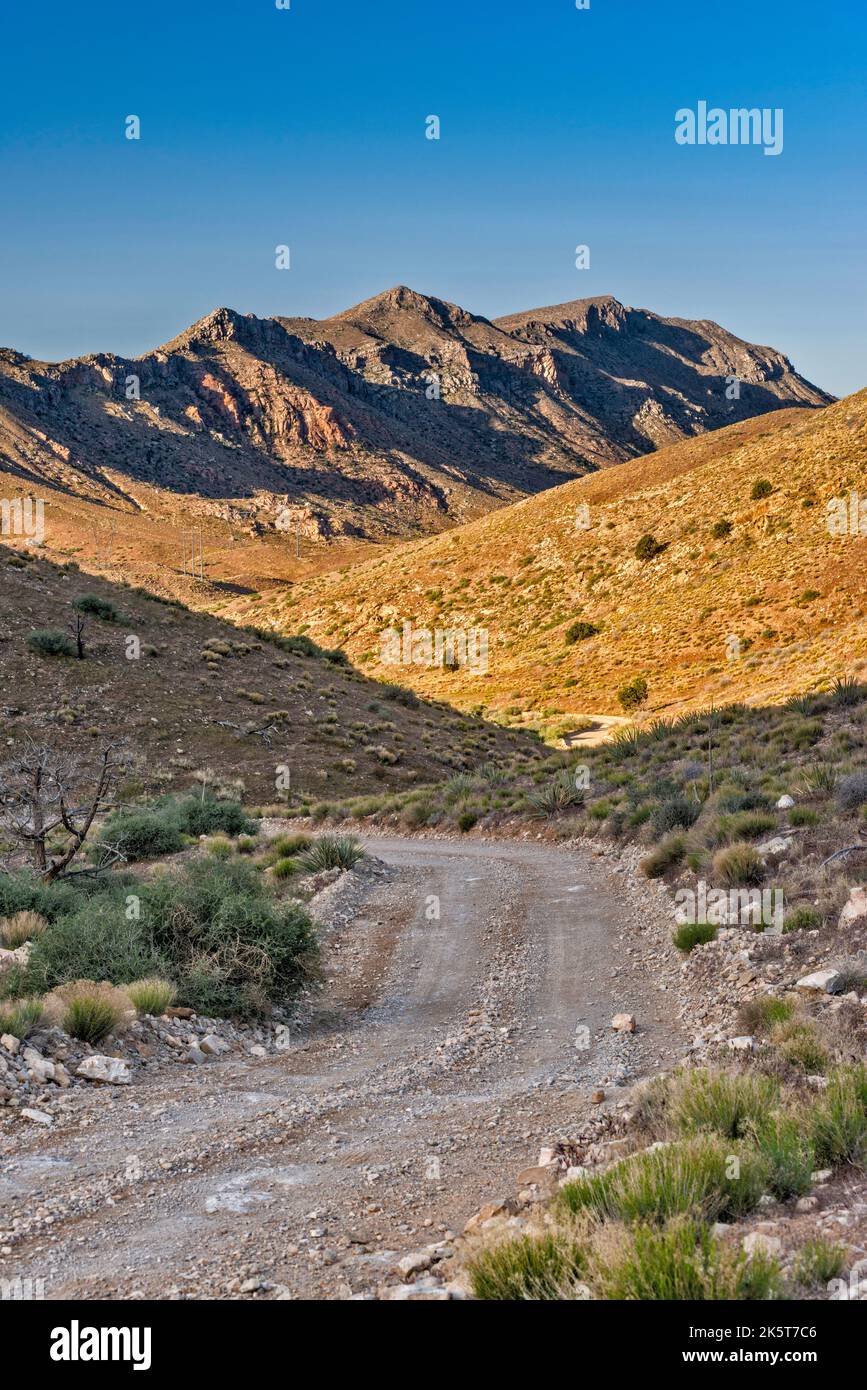 Bulldog dam hi-res stock photography and images - Alamy