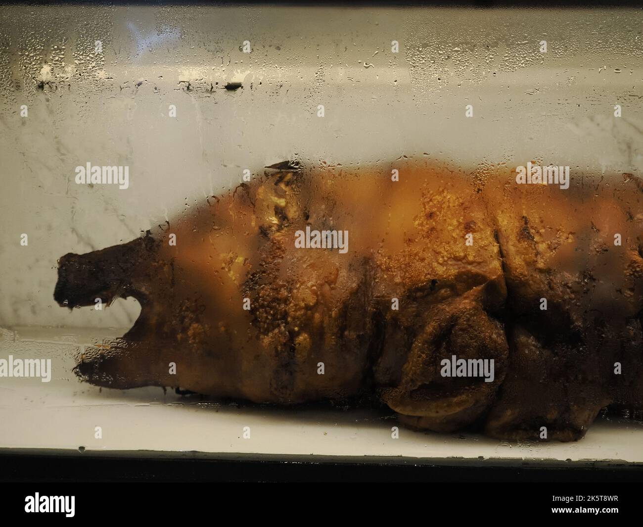 italian porchetta roasted pig on restaurant window Stock Photo - Alamy