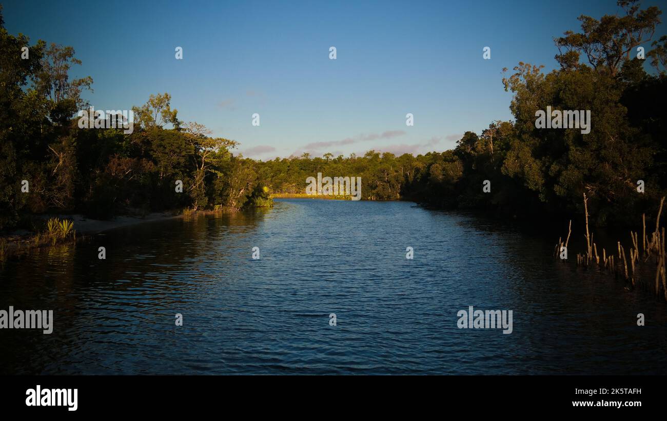 Landscape of the channel between Rasoabe and Ranomainty Lakes in ...