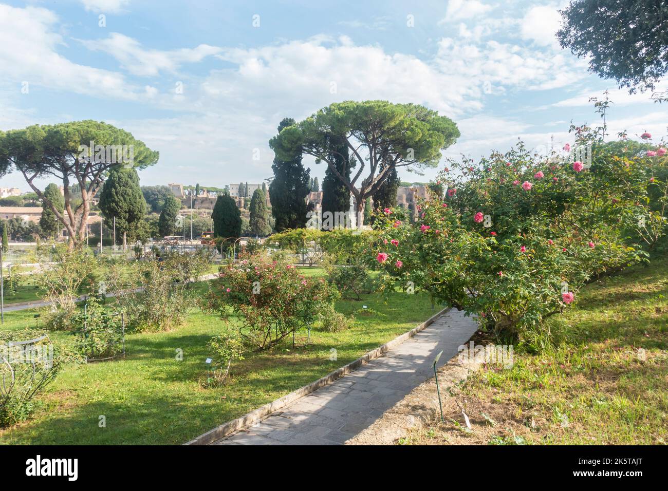 Rome, Italy - October 2022 - Roseto Comunale, The Municipal Rose Garden ...