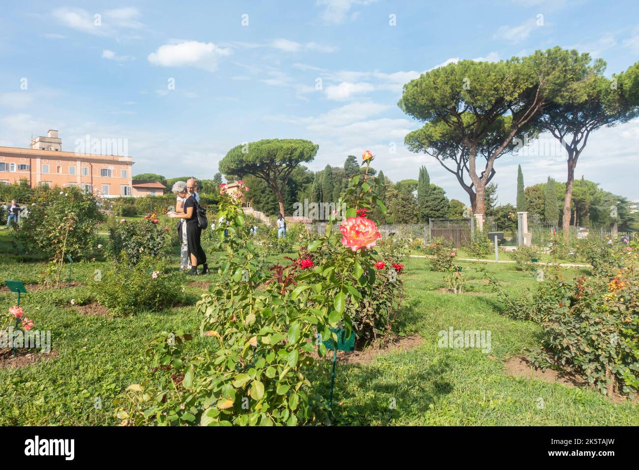 Rome, Italy - October 2022 - Roseto Comunale, The Municipal Rose Garden ...