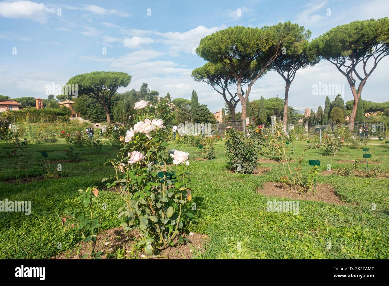 Rome, Italy - October 2022 - Roseto Comunale, The Municipal Rose Garden ...
