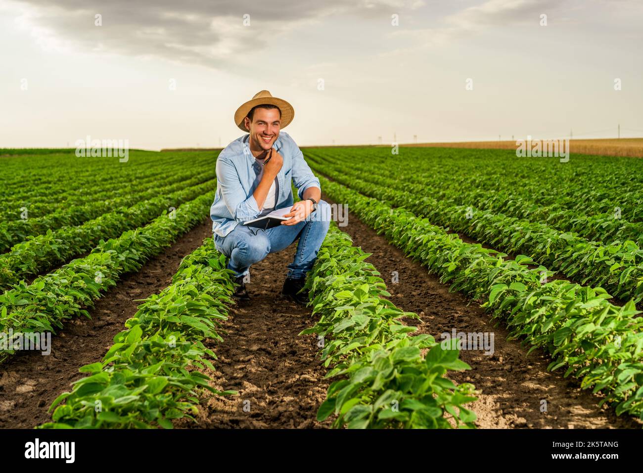 Happy farmer spending time in his growing soybean field Stock Photo - Alamy