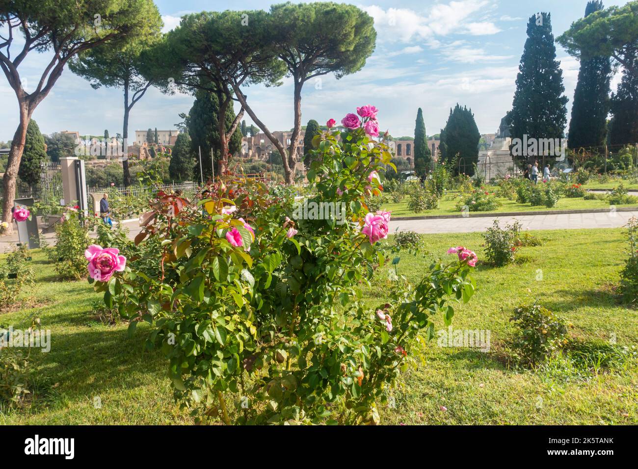 Rome, Italy - October 2022 - Roseto Comunale, The Municipal Rose Garden ...