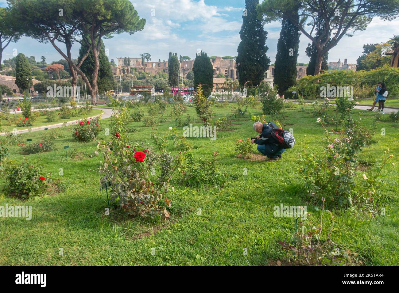 Rome, Italy - October 2022 - Roseto Comunale, The Municipal Rose Garden ...