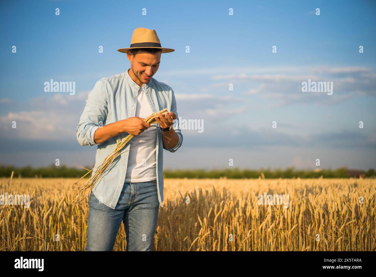 Happy farmer is standing in his growing wheat field and examining crops ...