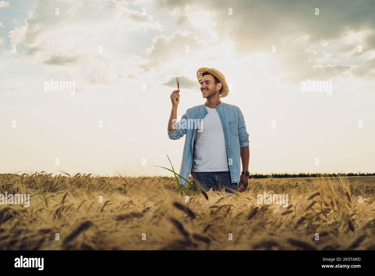 Happy farmer is standing in his growing barley field and examining ...