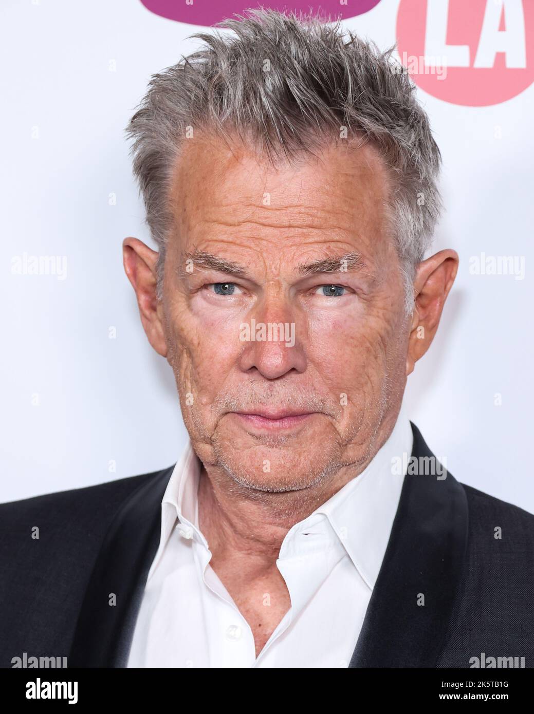 LOS ANGELES, CALIFORNIA, USA - OCTOBER 09: Canadian musician David ...