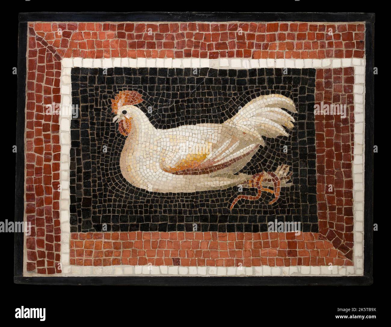 Home to rome hi-res stock photography and images - Alamy