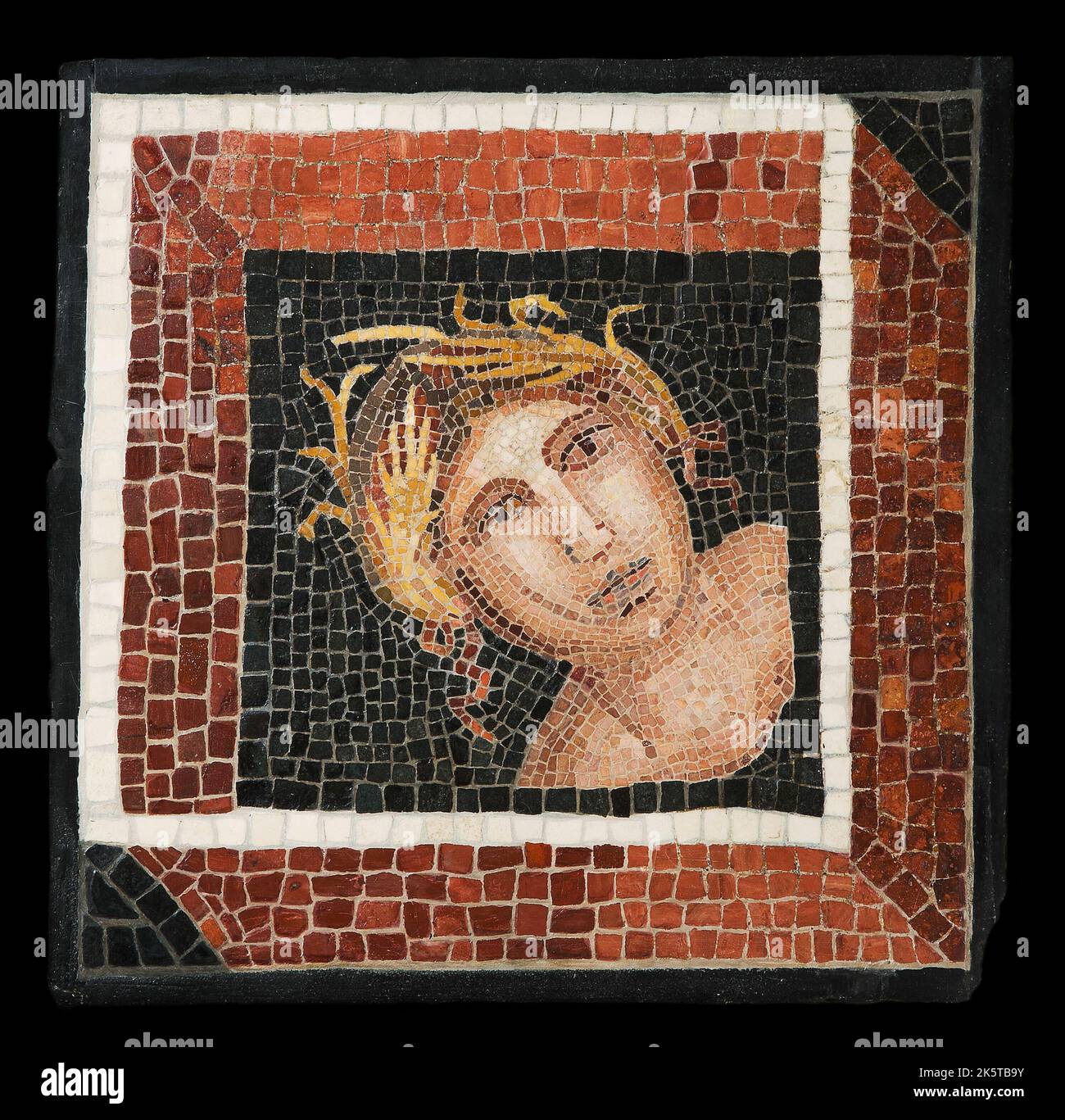 Roman Mosaic Panel Depicting a Personification of a Season, from the ...