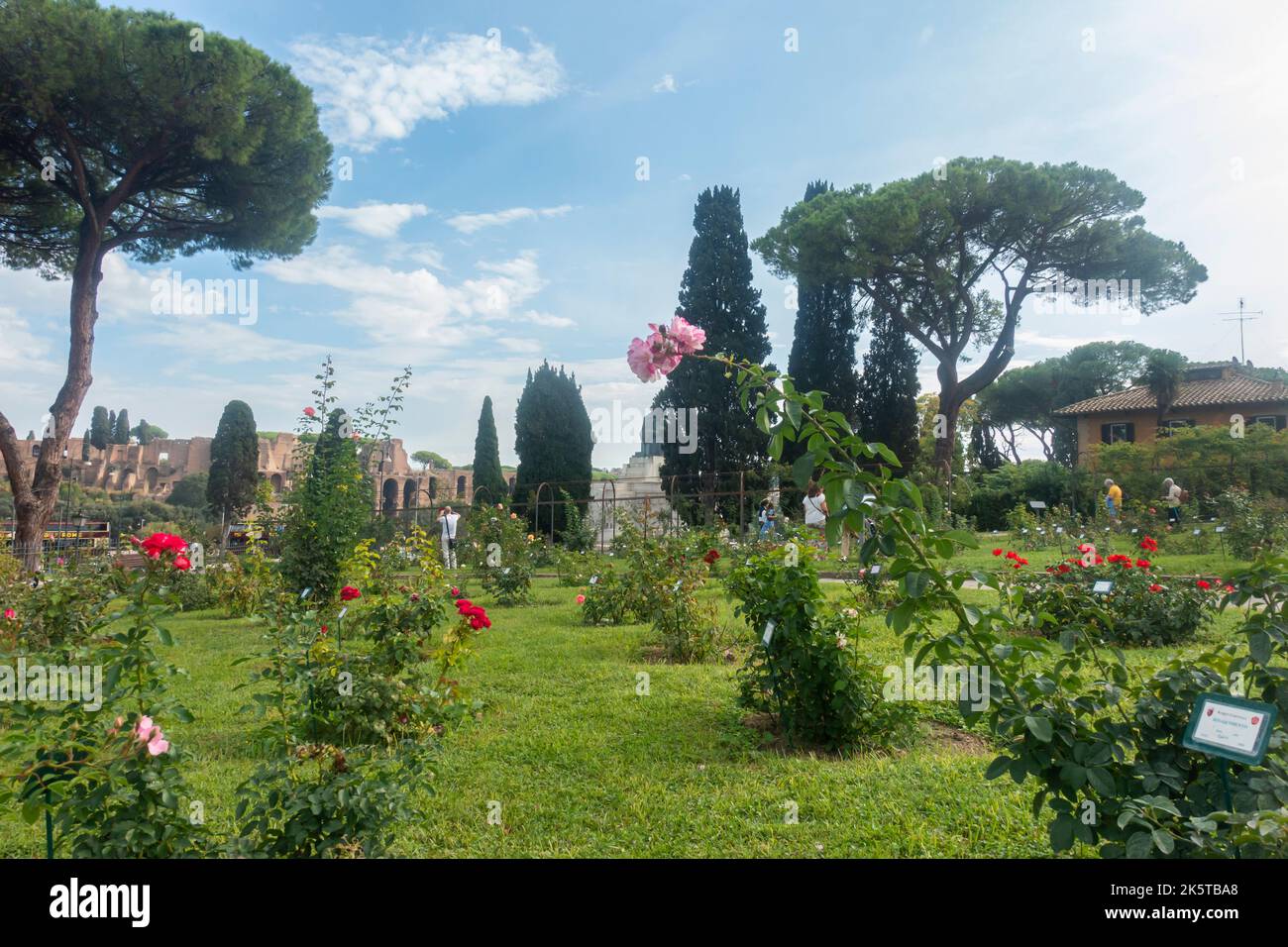 Rome, Italy - October 2022 - Roseto Comunale, The Municipal Rose Garden ...