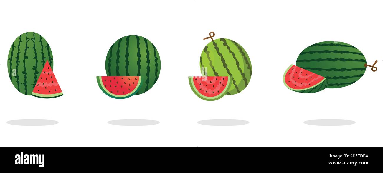 Vector illustration watermelon set, green stem, cut half, sliced ...