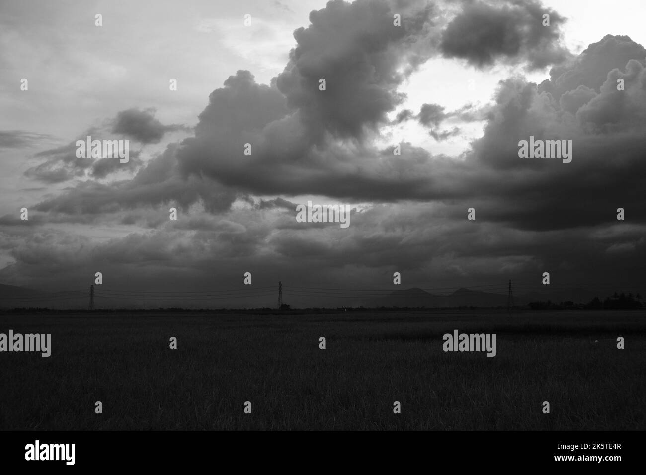 Langit berawan, Foto monokrom pemandangan ladang padi dengan langit ...