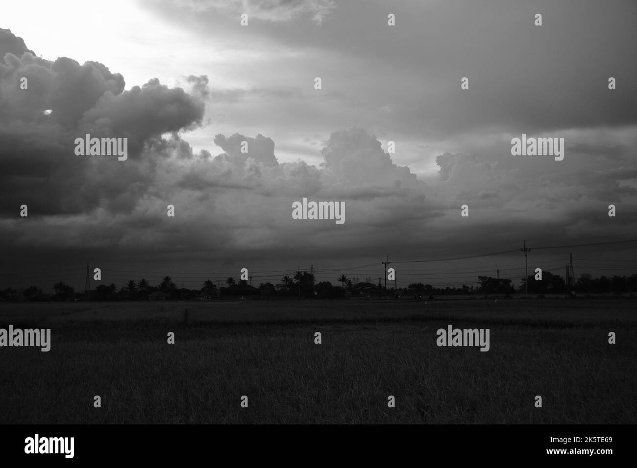 Langit berawan, Foto monokrom pemandangan ladang padi dengan langit ...
