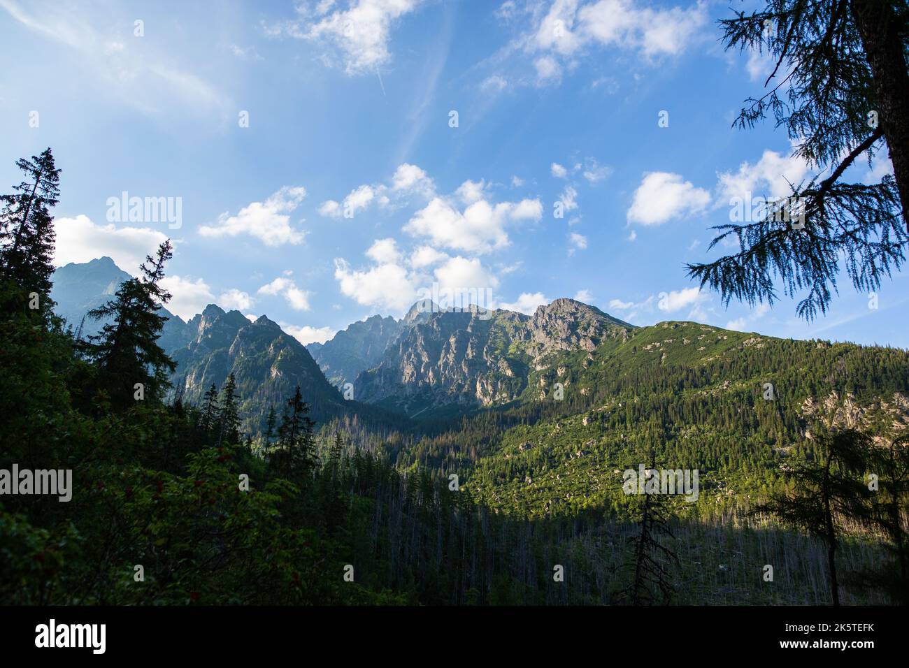 An aerial view of High Tatras mountain landscape surrounded by dense ...