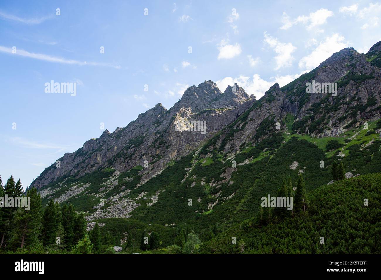 An aerial view of High Tatras mountain landscape surrounded by dense ...