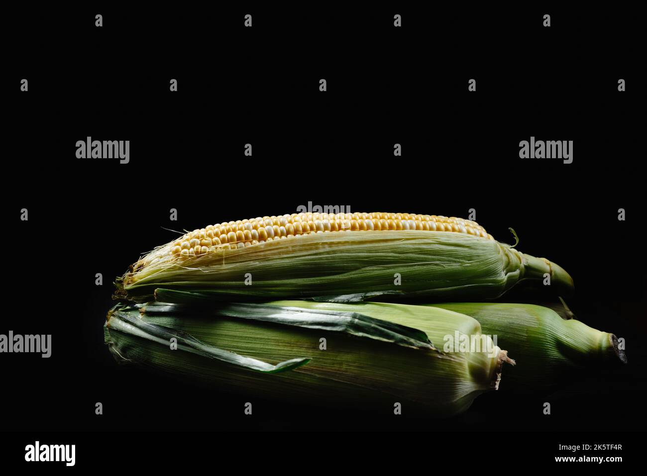 Raw corn cobs or maize on a black background. Harvest concept. Corn ...