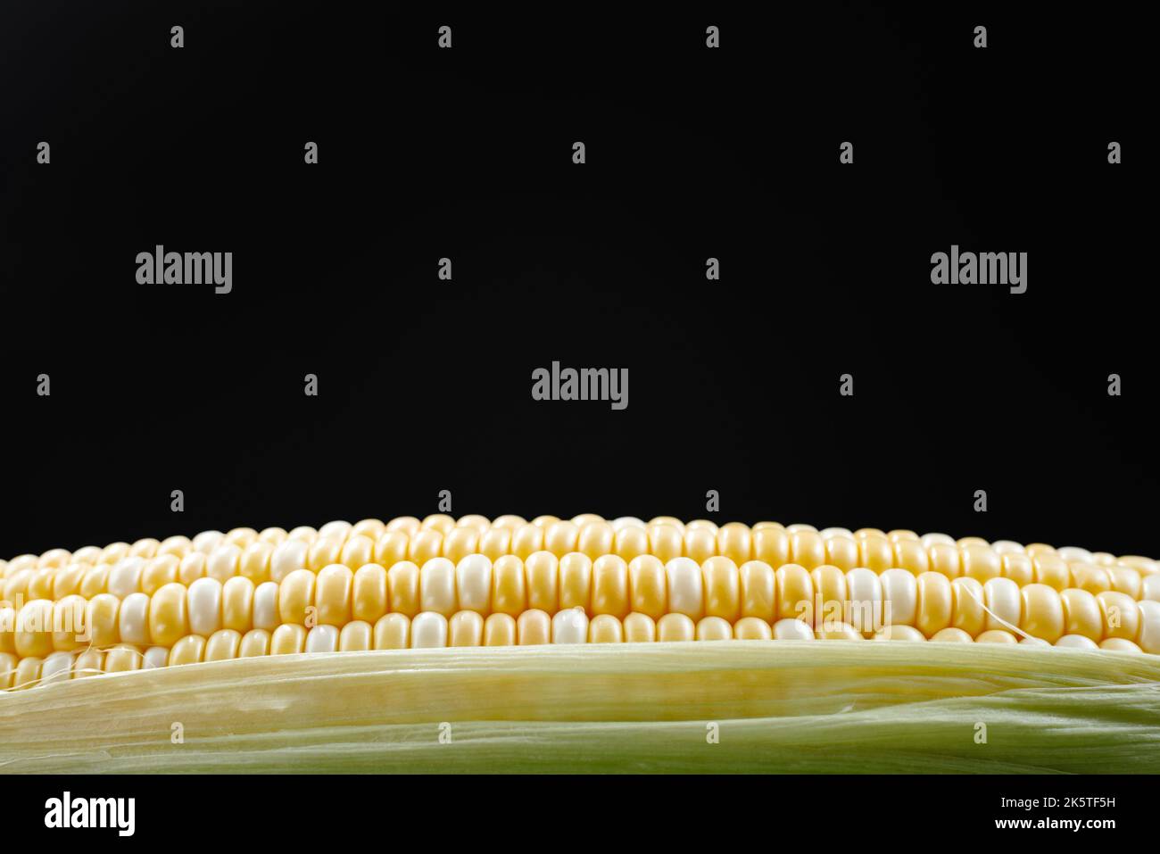 Raw corn in close-up. Corn kernel on black background. View from an ...