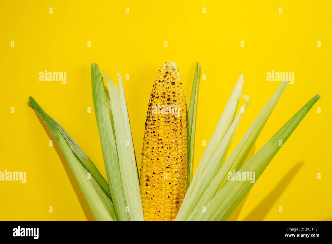 Grilled corn lies on a yellow background. Bright food shot with flash ...
