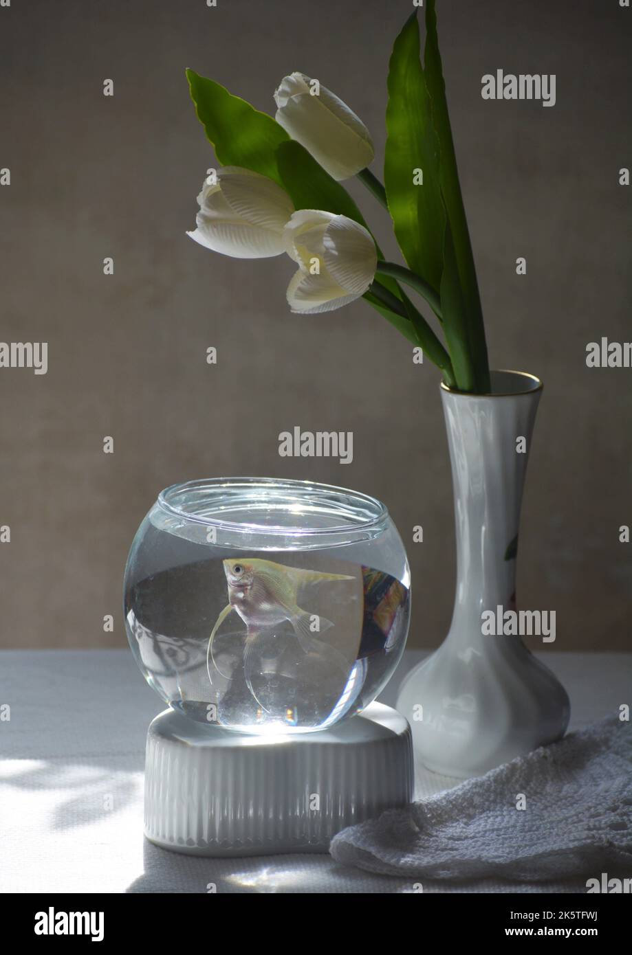 Colorful fish in the glass bowl Stock Photo - Alamy