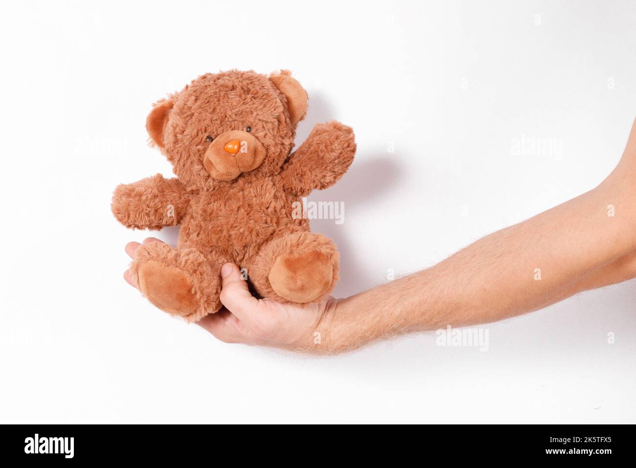 male hand holding a toy bear on a white background Stock Photo - Alamy