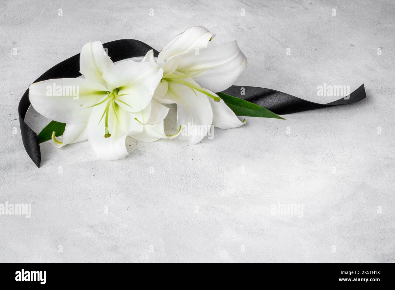 Flowers heads of white lilies with black ribbon. Mourning or funeral ...