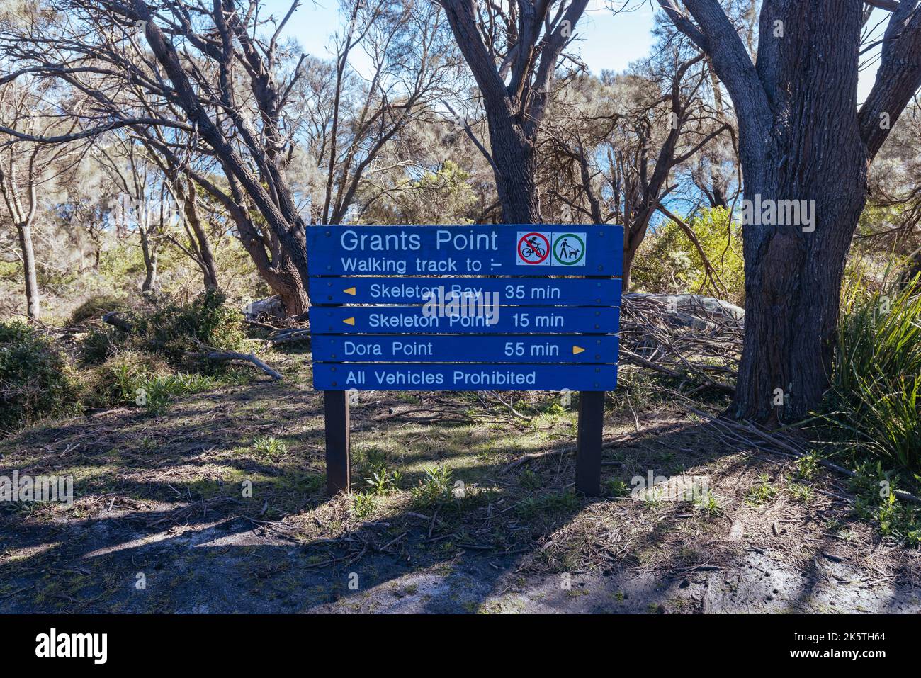 Skeleton Bay Walk in Tasmania Australia Stock Photo - Alamy
