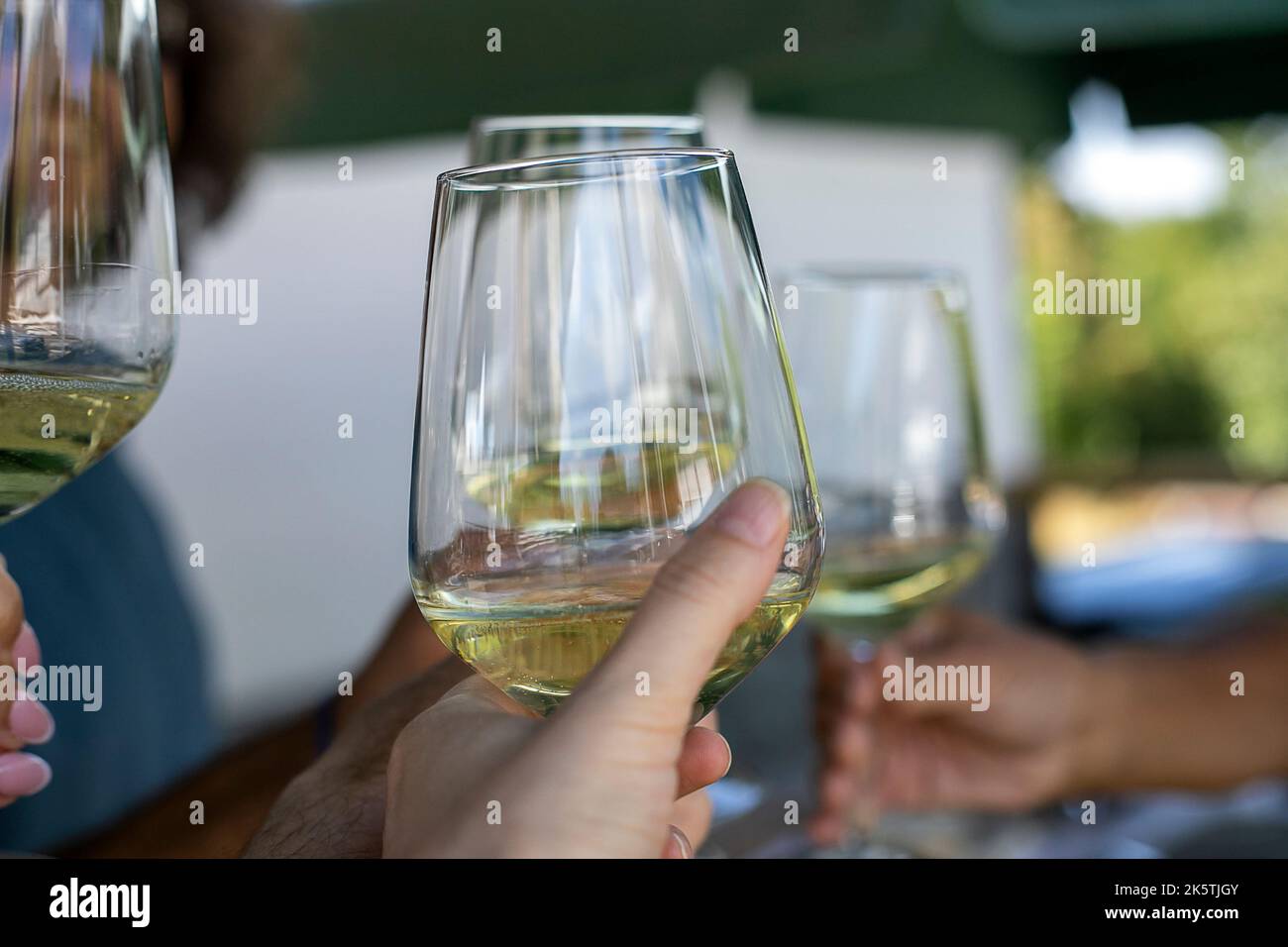 Cheers with prosecco hi-res stock photography and images - Alamy