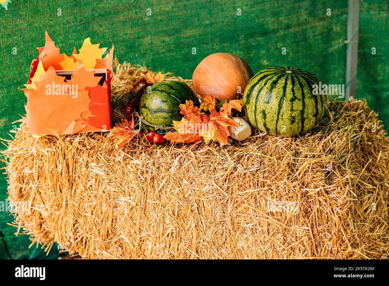 Watermelons, pumpkin and leaves lie on a stack of straw. Autumn ...