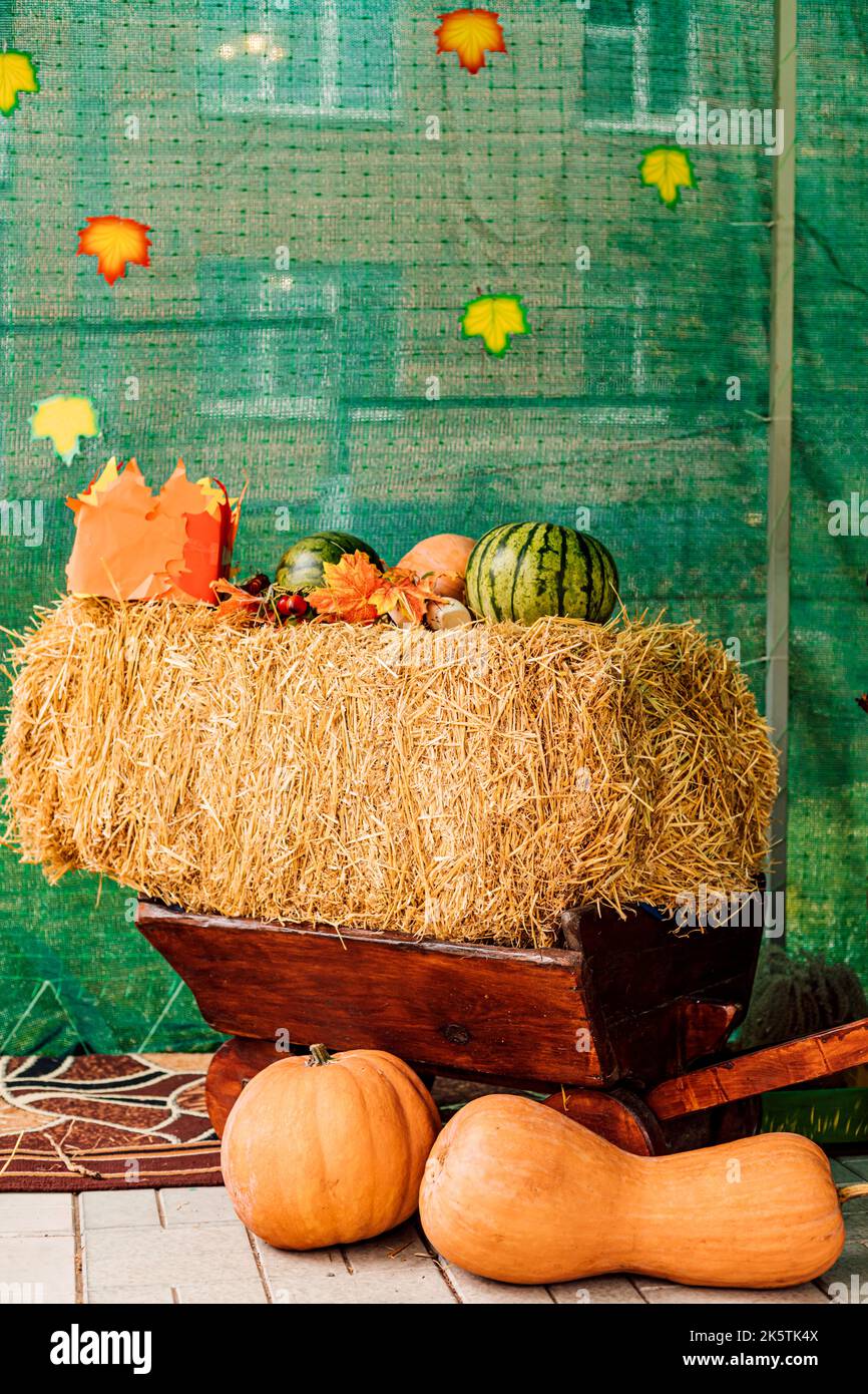 Watermelons, pumpkin and leaves lie on a stack of straw. Autumn ...