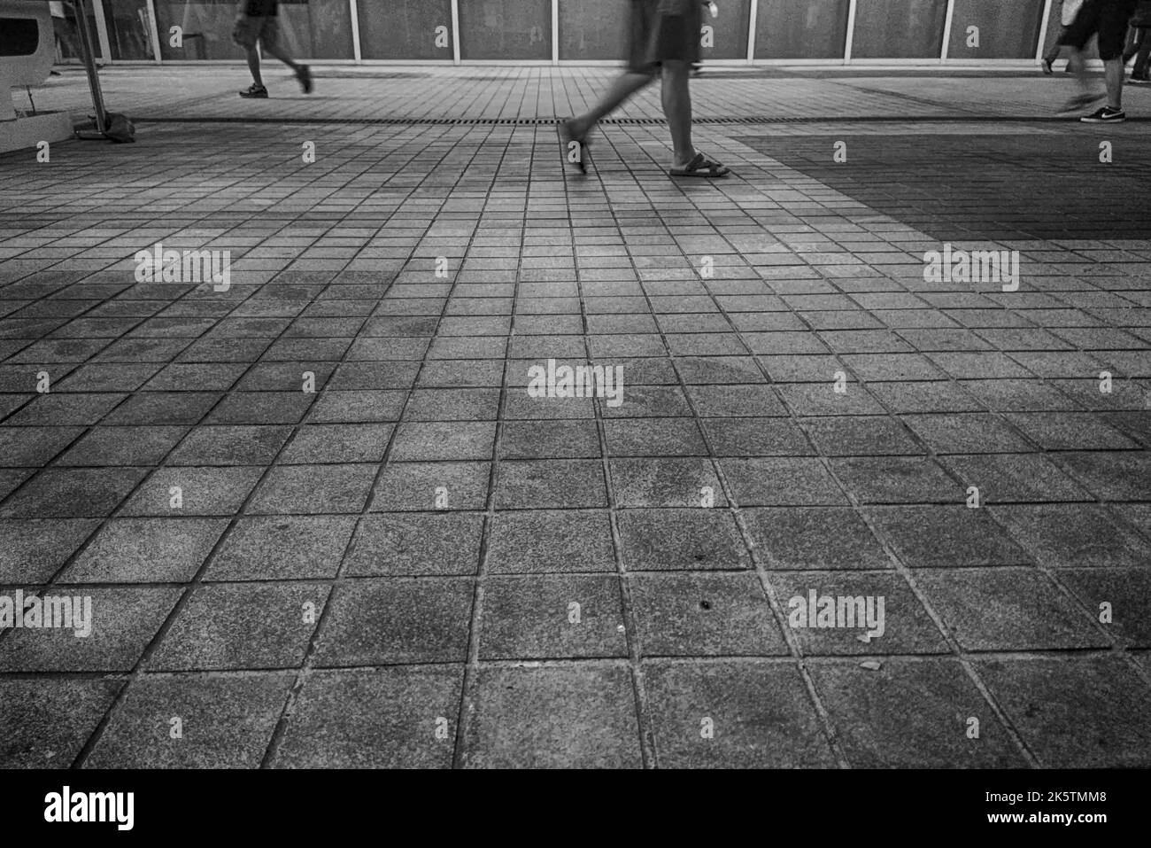 A grayscale shot of lower bodies of people walking on cobblestone road ...