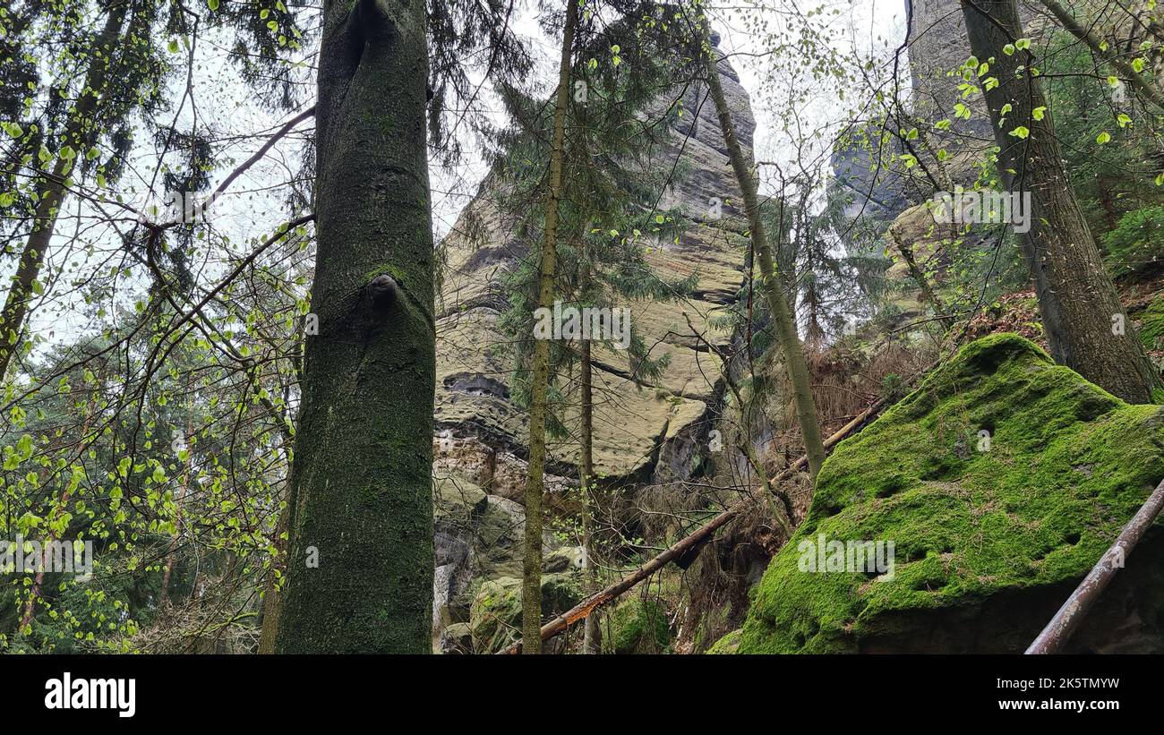 The Elbe Sandstone Mountains are a sandstone massif on the upper ...