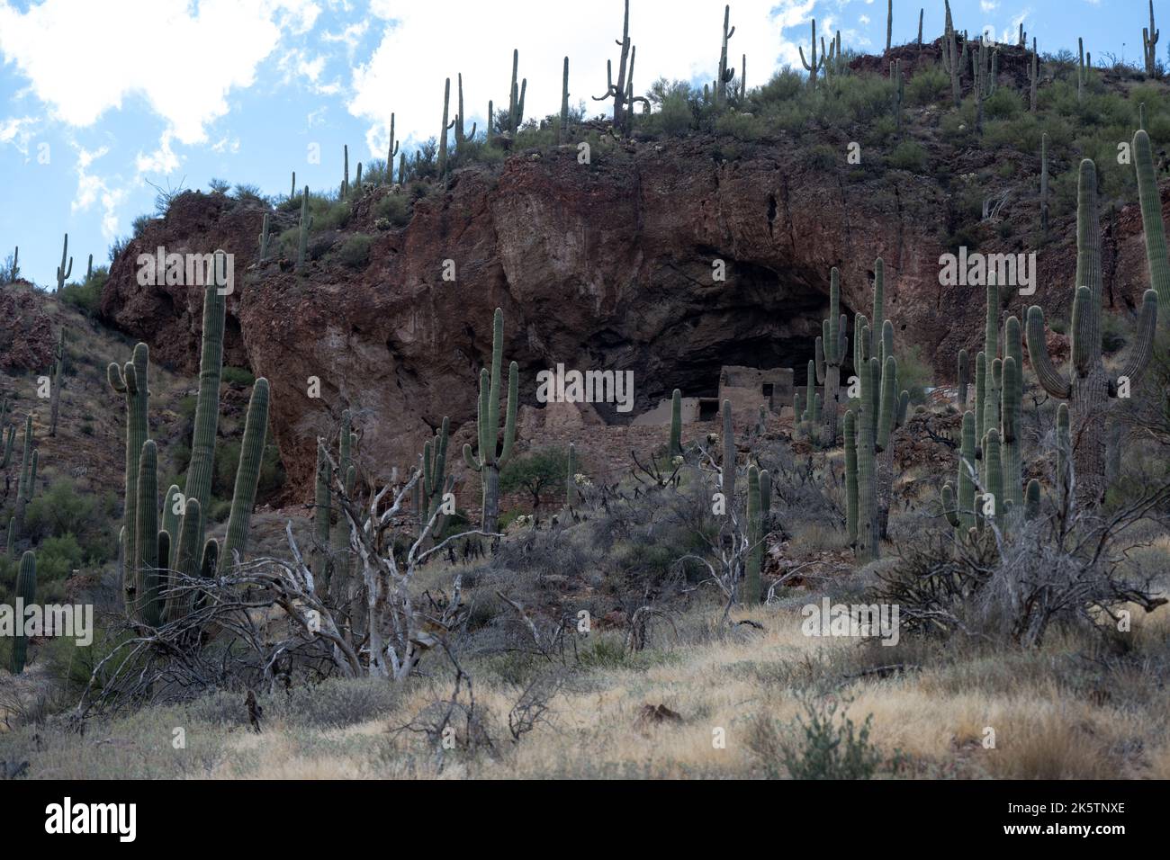 The Native American cliff dwellings at Tonto National Monument, Arizona ...