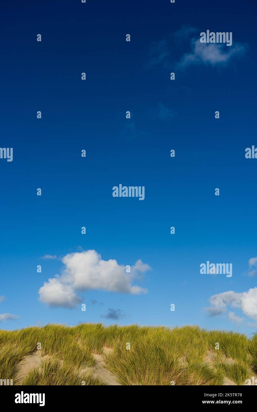 Clear blue sky with clouds in a dune landscape on the island of Texel ...
