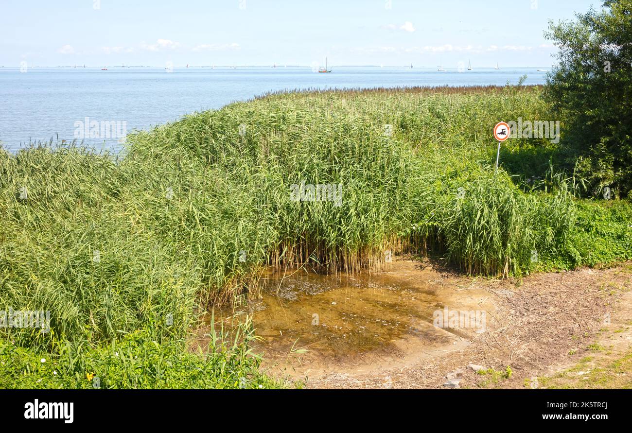Sign next to a puddle, it is forbidden to swim Stock Photo - Alamy