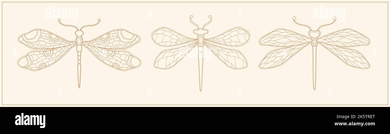 Art nouveau style dragonfly insect basic element. 1920-1930 years ...
