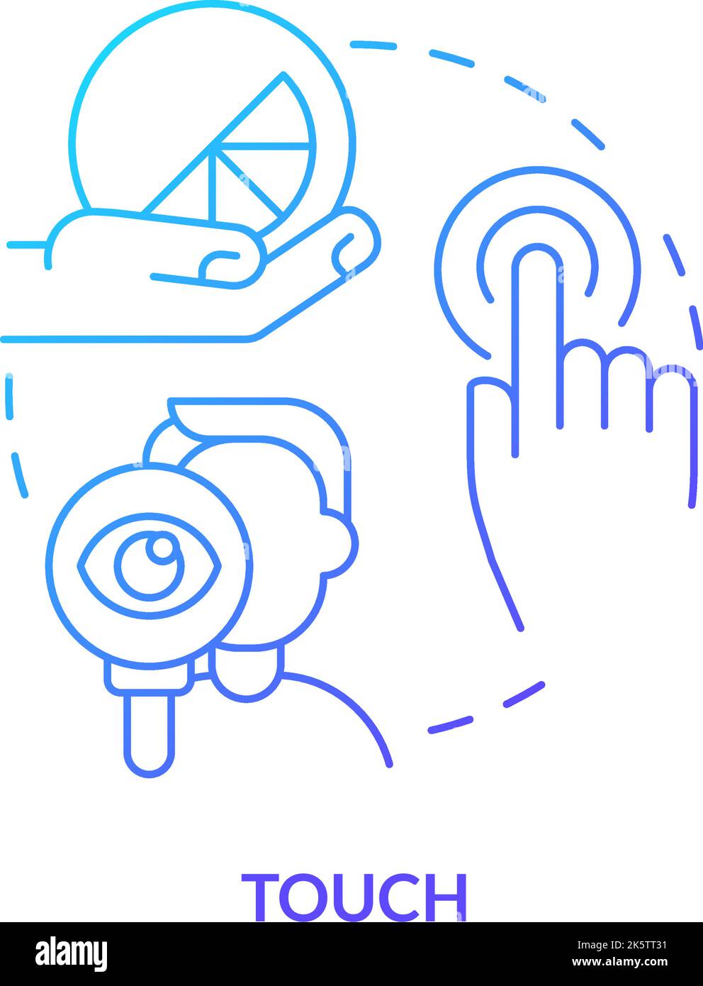 Tactile sensory receptor Stock Vector Images - Alamy