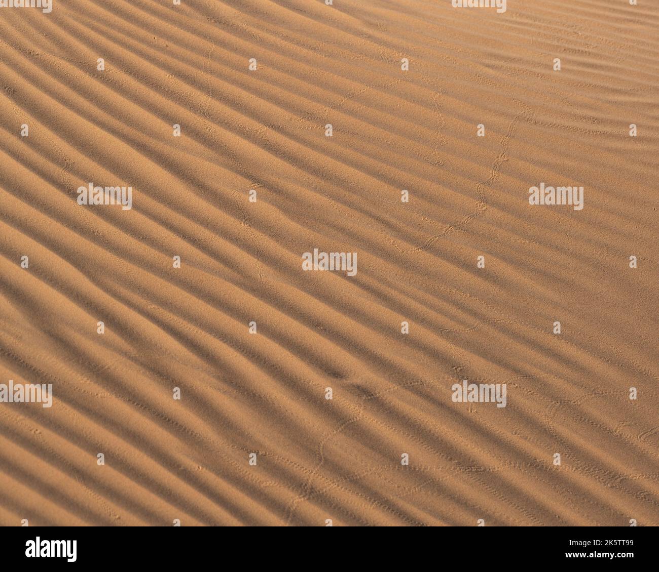 View of wave pattern on the sand dune in the desert in Dubai, United ...
